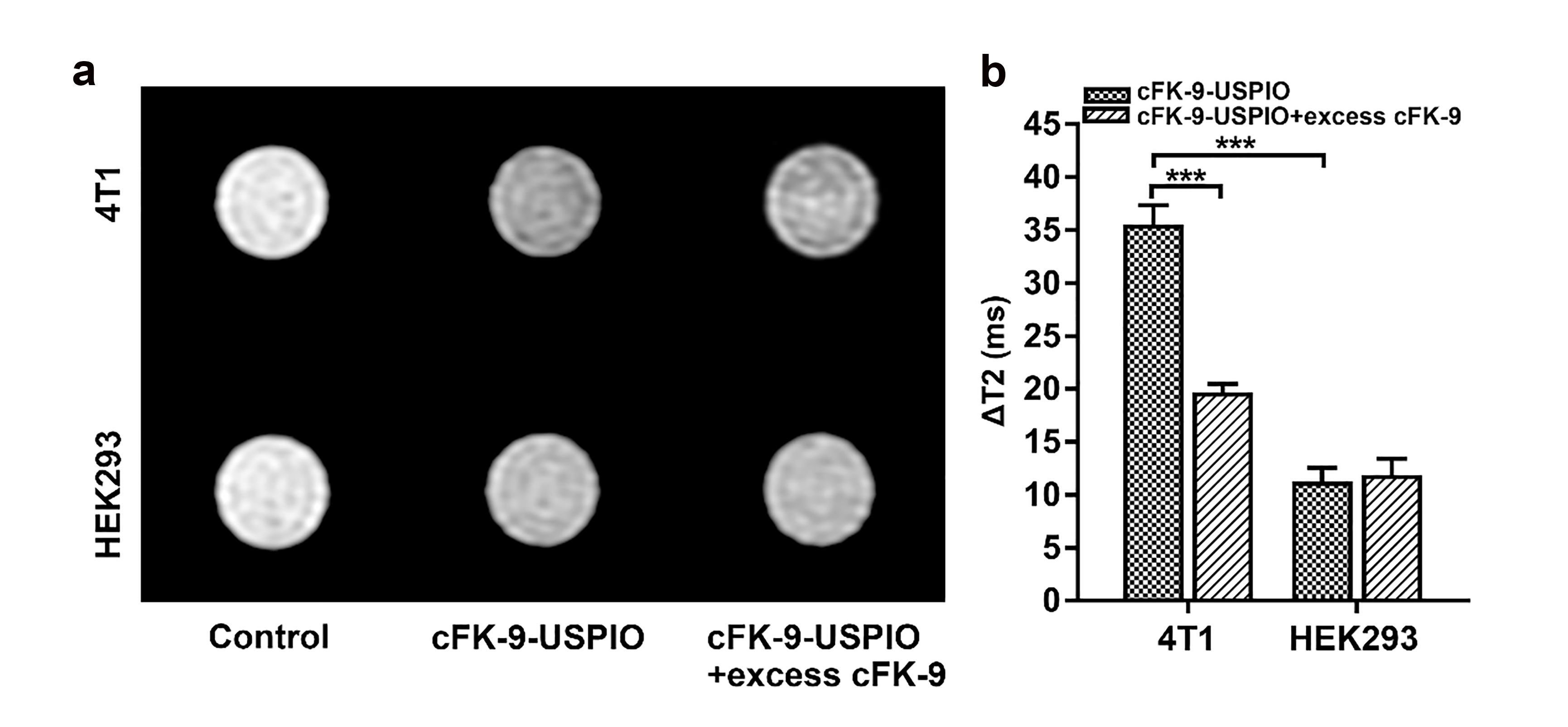 Figure 2. Cytologicalverification of targeting ability of cFK-9-USPIO ...