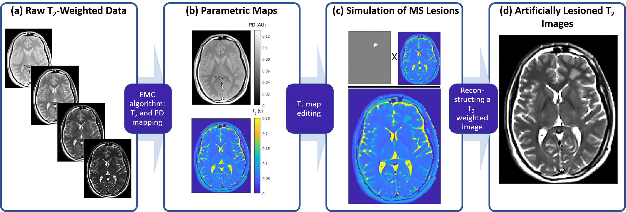Visualdiagnostic test performed on neuroscience students suggests that ...