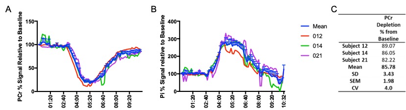 Assessment of peripheral muscle deconditioning using 31P-MRS during ...