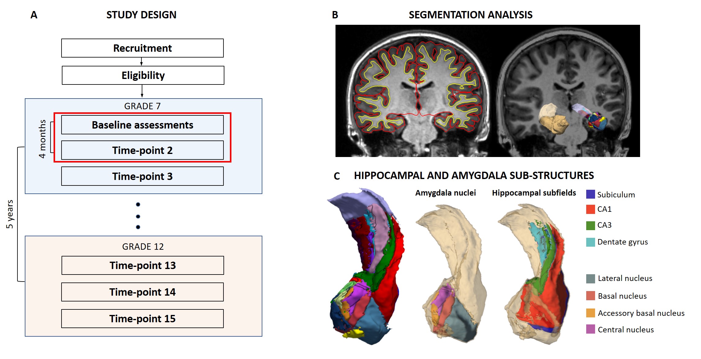 In this preliminary neuroimaging study, we sought to understand ...