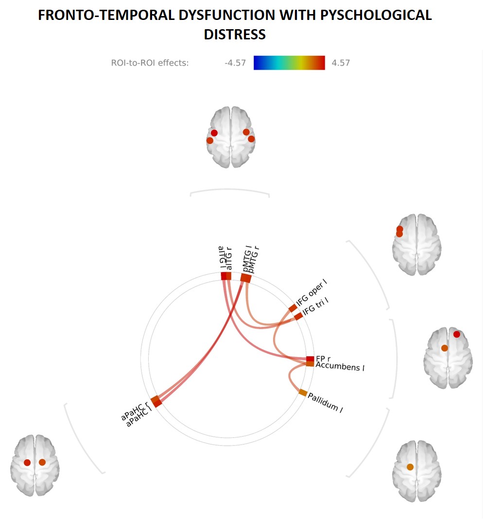 Whole-brainROI-to-ROI analysis .Functional connectivity analysis ...