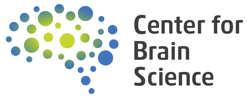 Figure 3. Resting-state network in awake common marmoset