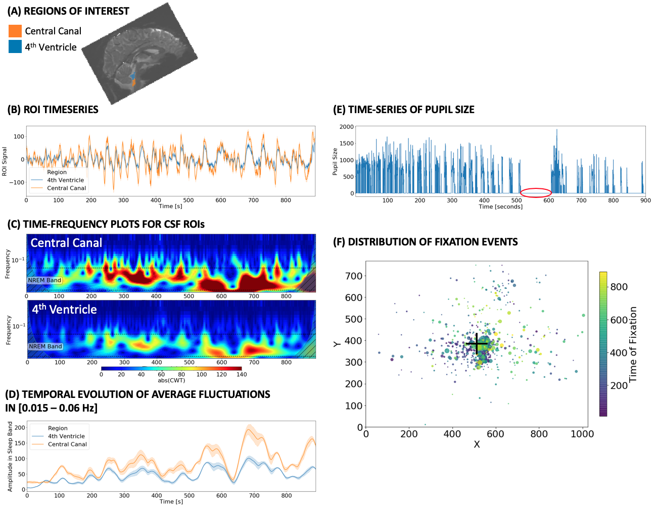 1 Section on Functional Imaging Methods, NIMH, Bethesda, MD, United ...