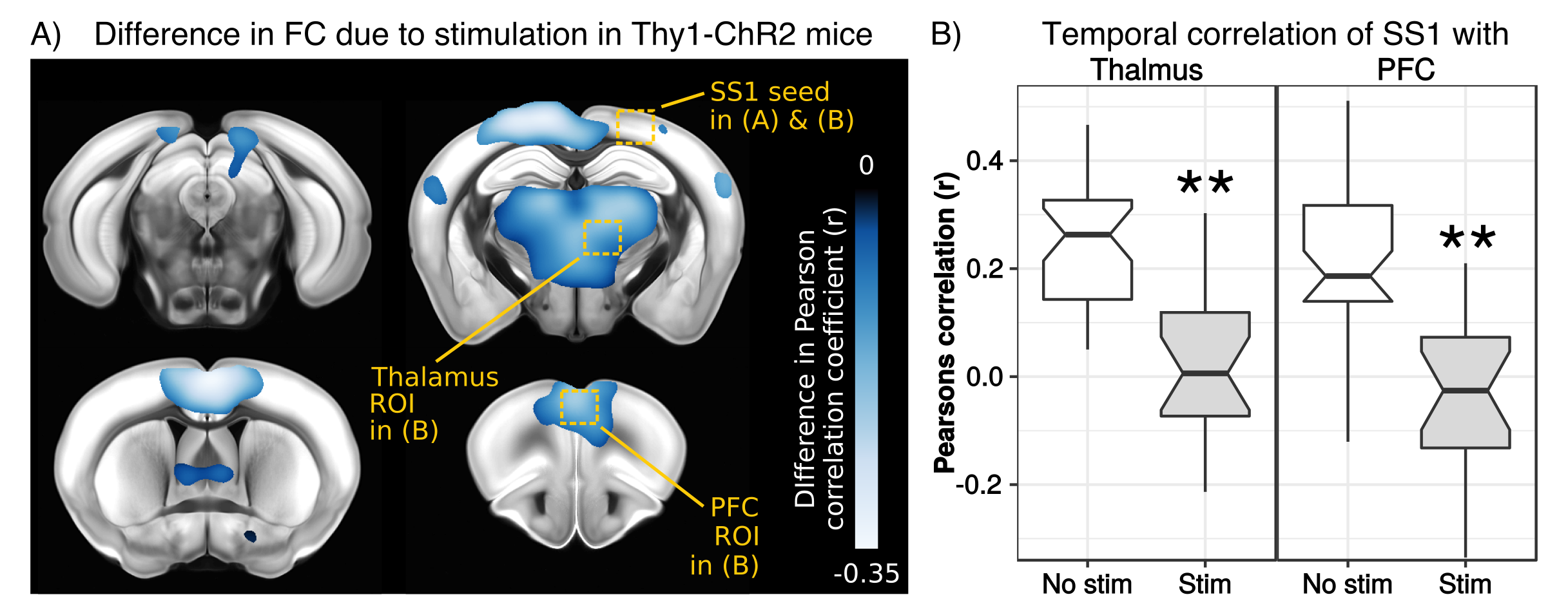 Network scale optogenetic fMRI with tapered optical fibers