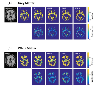 CNNs improve tissue sodium concentration accuracy in white and grey ...