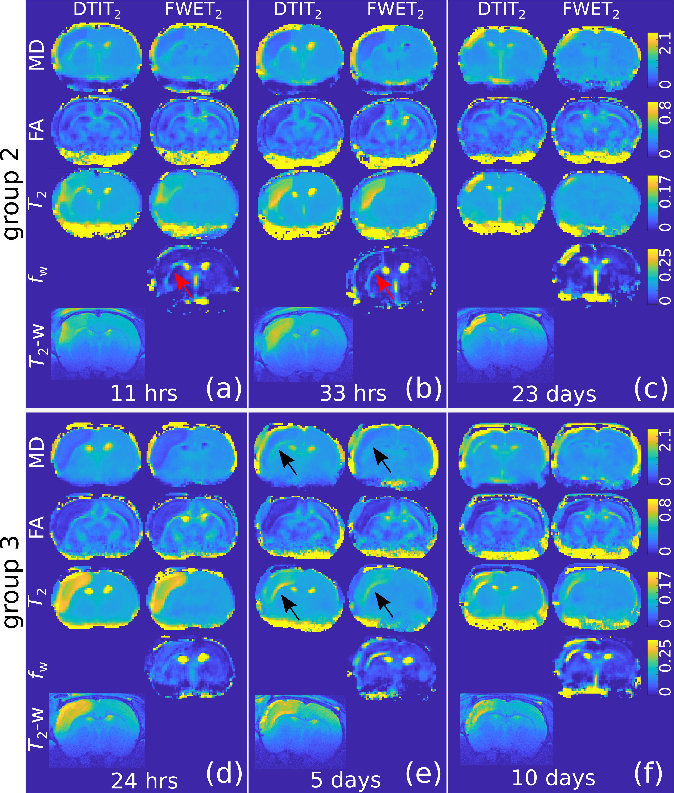 Spatiotemporal evolution of ischemic lesions in stroke animal models ...