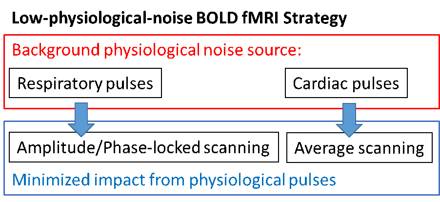 Illustration of low-physiological-noise fMRI scan strategy.