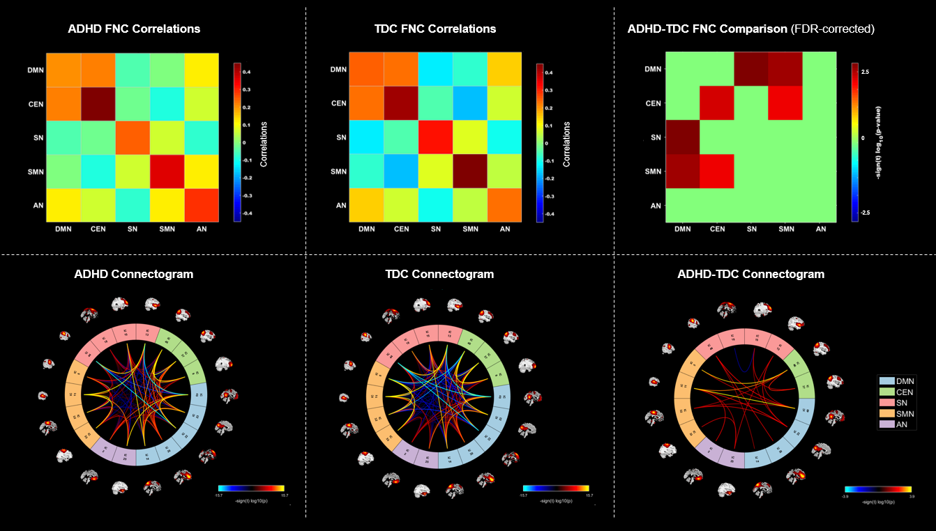 Figure 4. Functionalnetwork connectivity correlation matrix and ...