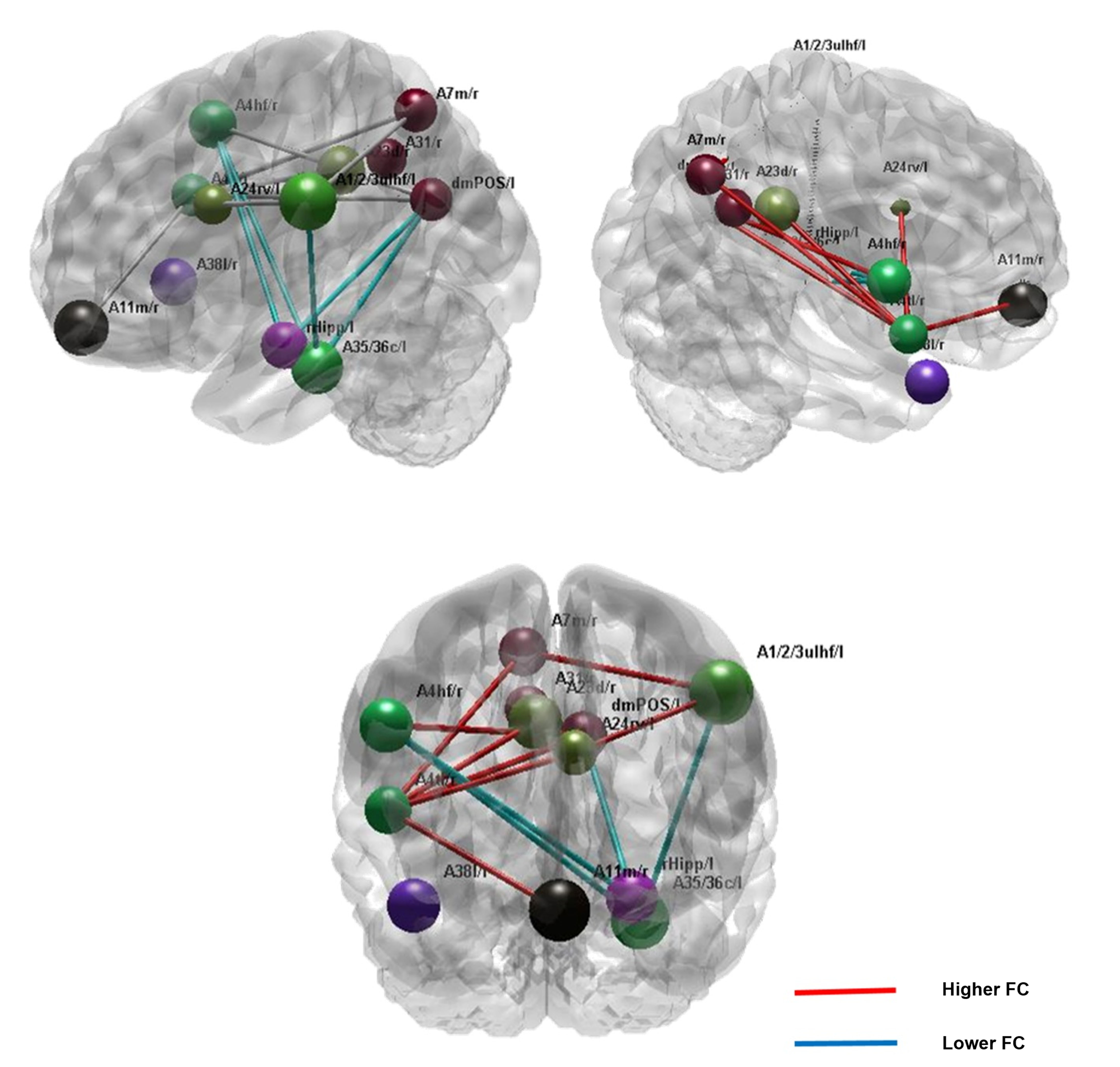 Xin Xu 1,2 and Qiyong Gong 1,2