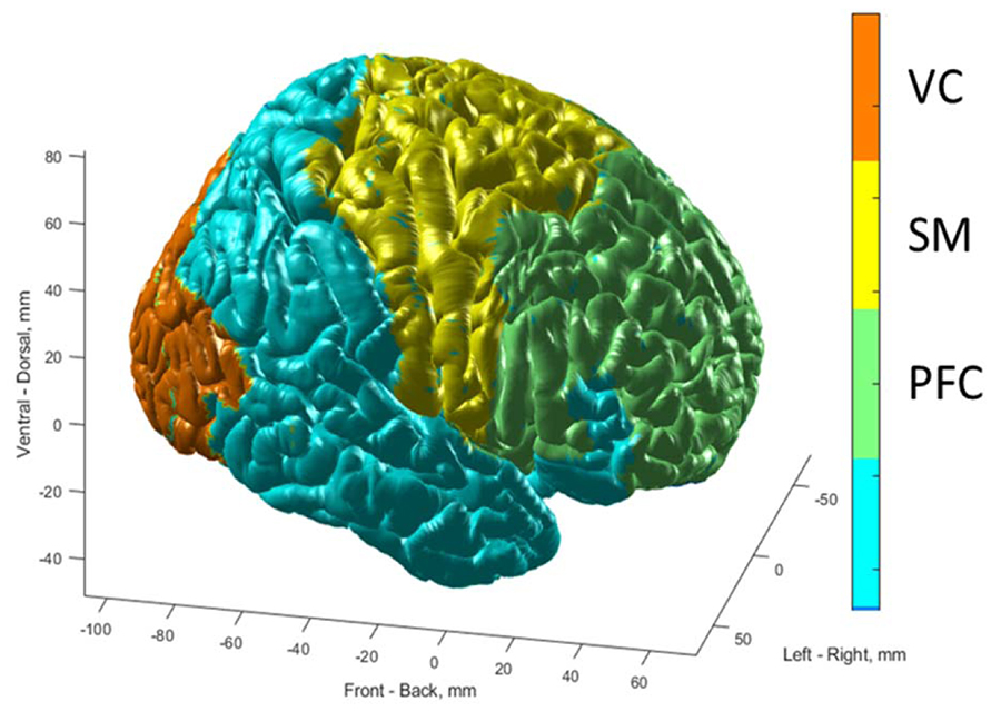 We studied the role of NMDA receptors in metabolicactivity of ...