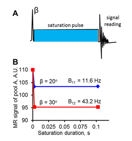 Figure.1 Twosaturation transfer recovery steady-states (STRESS) with ...