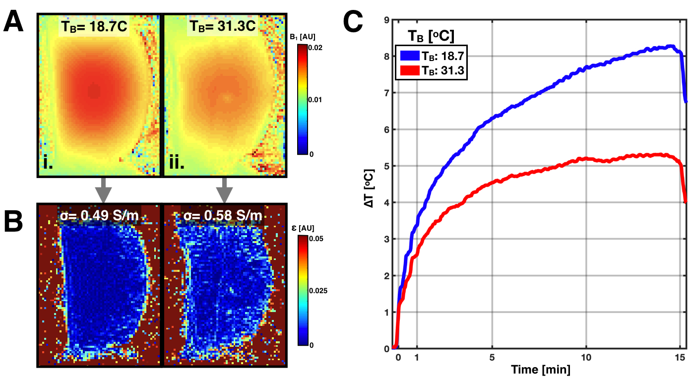 when T B increases, σ and ε increase. However, RF- induced heating ...
